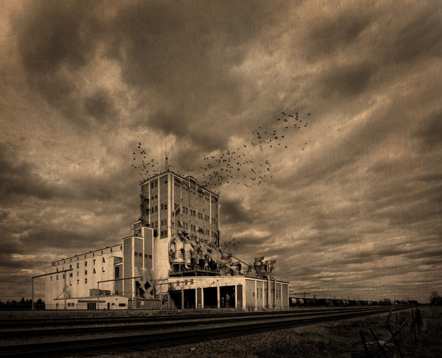 The Alberta Terminal Limited grain elevator, Edmonton – David Sikma ...